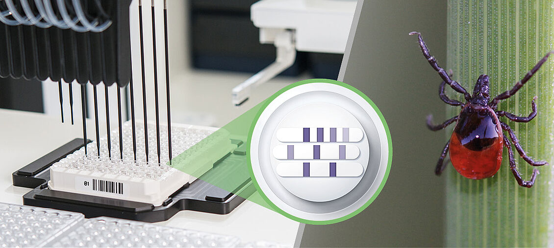 Your partner for the diagnostic laboratory | EUROIMMUN