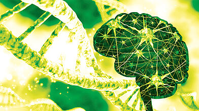 Your partner for the diagnostic laboratory | EUROIMMUN