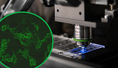 Your partner for the diagnostic laboratory | EUROIMMUN