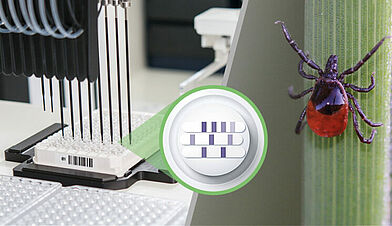 Your partner for the diagnostic laboratory | EUROIMMUN