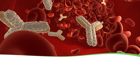 Autoimmunity | Euroimmun