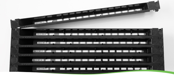 Immunoblot | Euroimmun